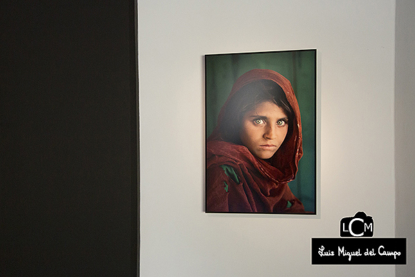 Exposición de Steve McCurry en Madrid - Luis Miguel del Campo